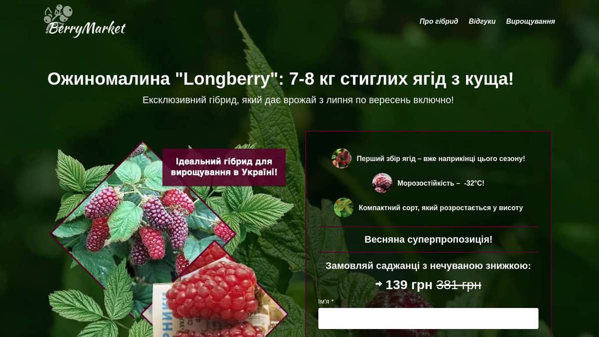 Ожиномалина Longberry: супер гібрид для любителів ягоди!